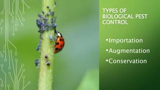 Biological Pest Control/ Biological Control System | PPTX