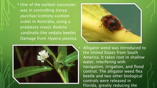 Biological Pest Control/ Biological Control System | PPTX