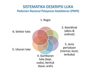 Deskripsi Luka | PDF