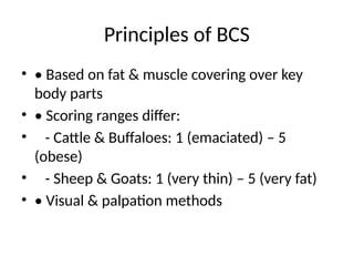 BCS_Buffalo_Cattle_Sheep_Goat_Proper_Table (1).pptx