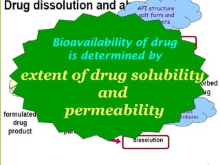 BCS classification system : Applications in pharmaceutics | PPT