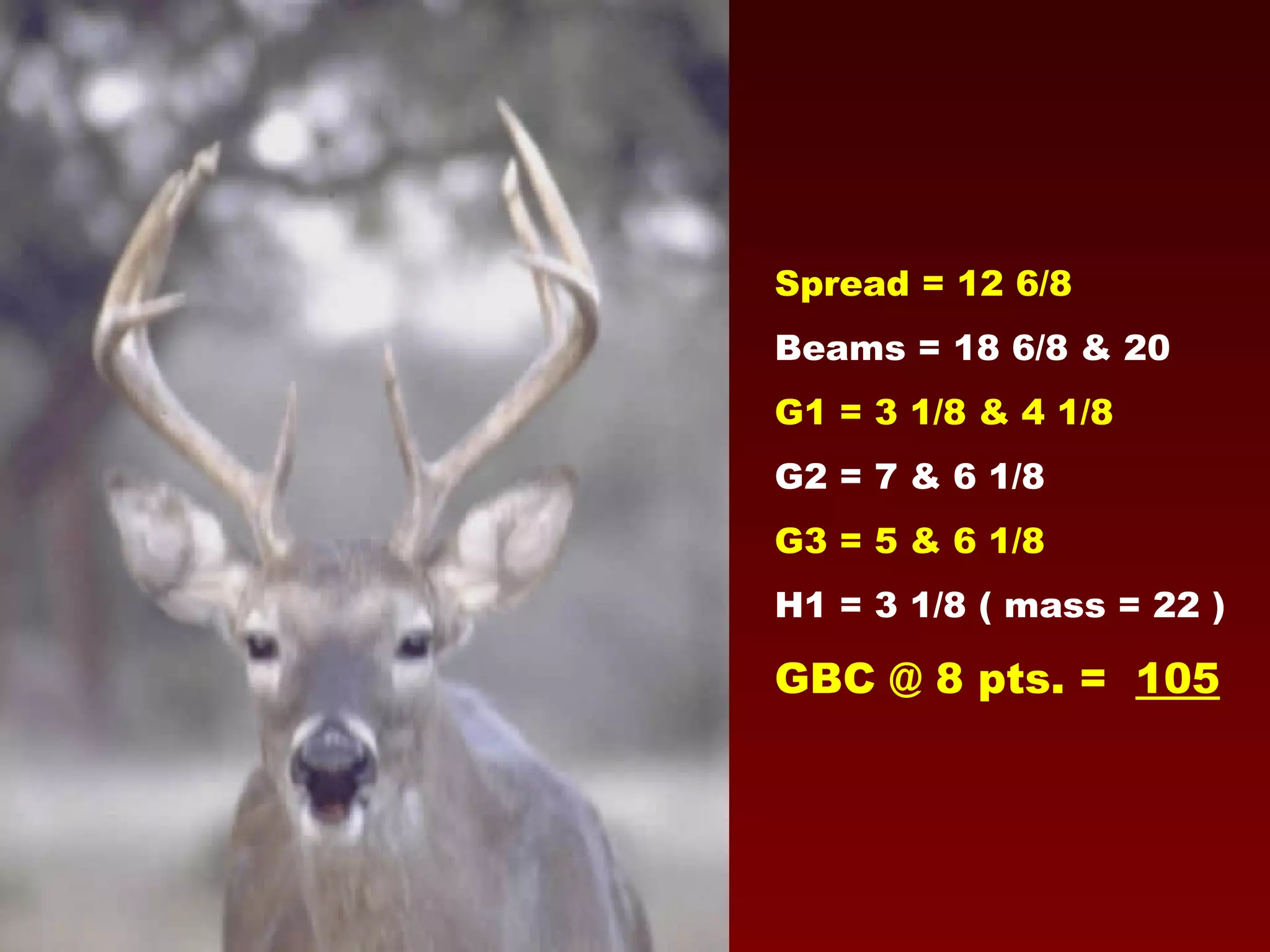 Boone and Crockett Scoring On the Hoof | PPS