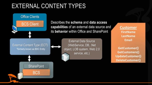 Building Custom BCS .NET Connectors | PPTX