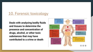 BRANCHES OF FORENSIC SCIENCE AND ETHICS IN FORENSIC SCIENCE | PPTX