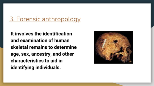 BRANCHES OF FORENSIC SCIENCE AND ETHICS IN FORENSIC SCIENCE | PPTX