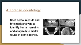 BRANCHES OF FORENSIC SCIENCE AND ETHICS IN FORENSIC SCIENCE | PPTX