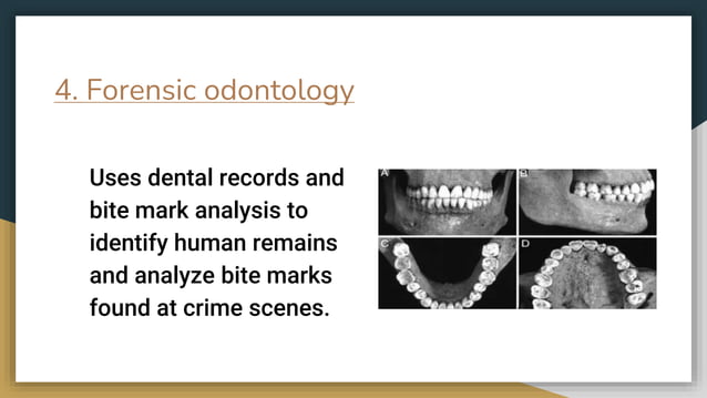 BRANCHES OF FORENSIC SCIENCE AND ETHICS IN FORENSIC SCIENCE | PPTX