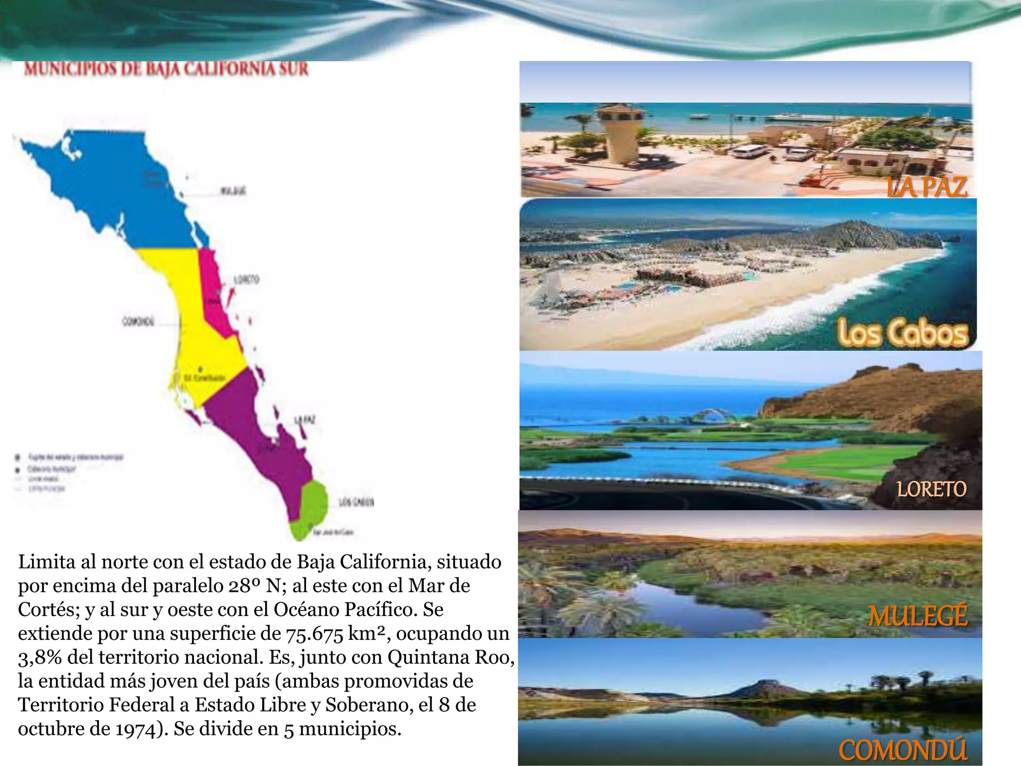 Baja California Sur Marlene Marín | PPTX | South America Travel ...