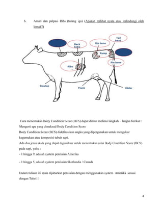 bcs sapi.pdf