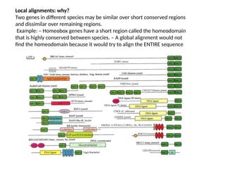 sequencing technique important in bio info | PPTX | Genetics | Science