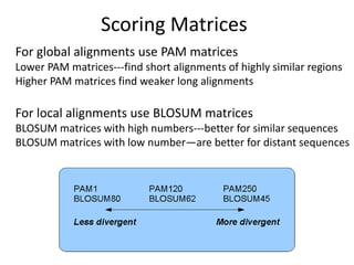 sequence alignment and matrices for makaut | PPTX
