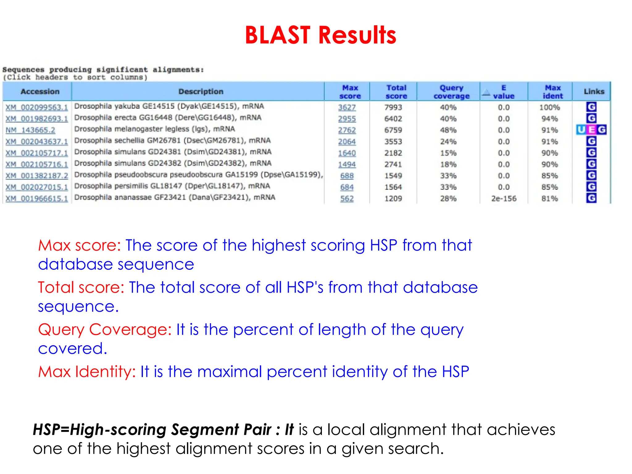 sequence alignment tool and definitionss | PPT