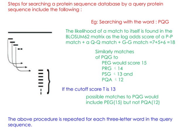 sequence alignment tool and definitionss | PPT