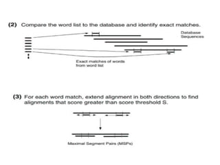 sequence alignment tool and definitionss | PPT