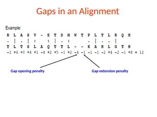 sequence alignment tool and definitionss | PPT