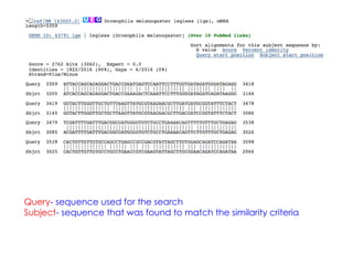 sequence alignment tool and definitionss | PPT