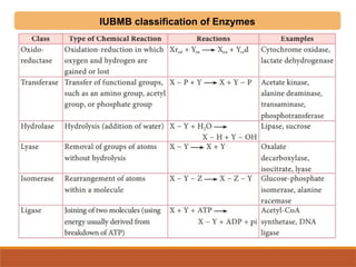 ENZYMES: Nomenclature & Classification.pptx