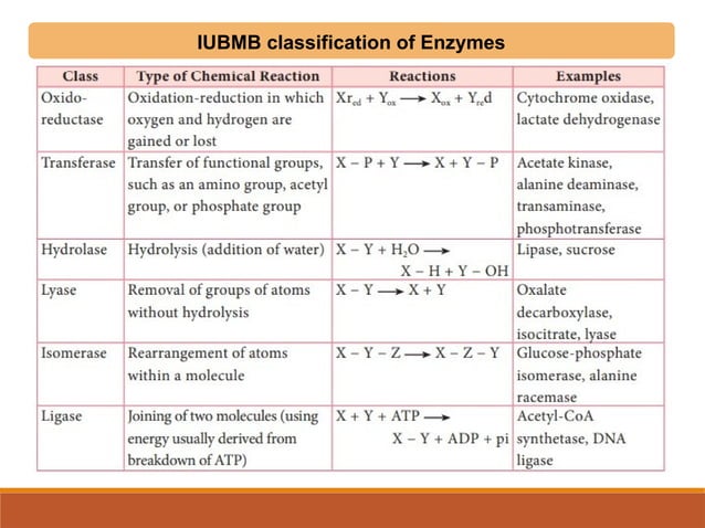 ENZYMES: Nomenclature & Classification.pptx