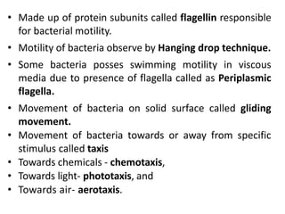 bcterialultrastructureall-201118081937.pdf
