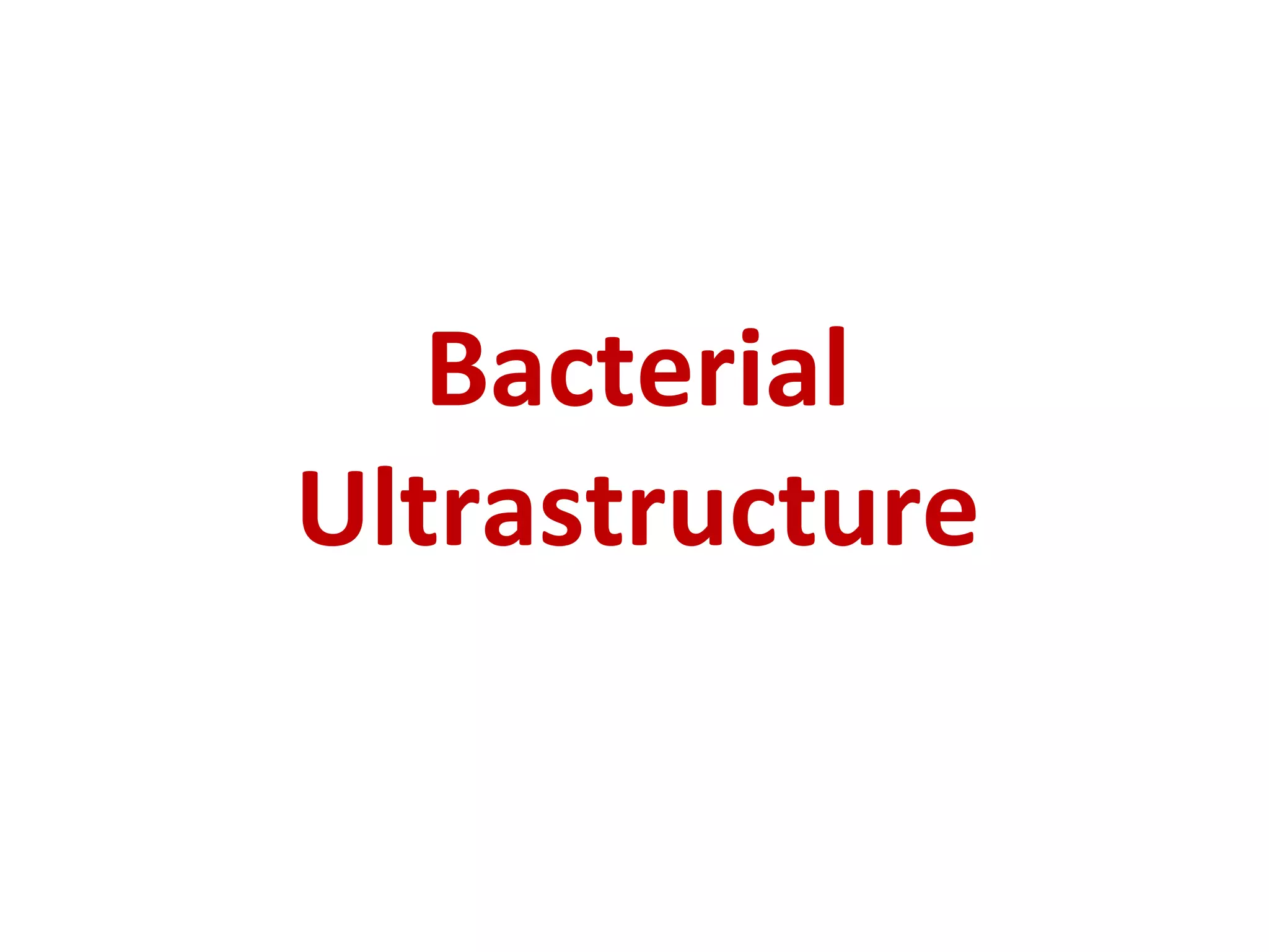 Bcterial ultrastructure all | PPTX