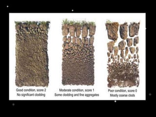 Bulk_density | PPTX