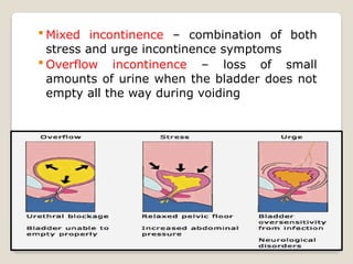 (bowel and bladder incontinence)B&D.pptx