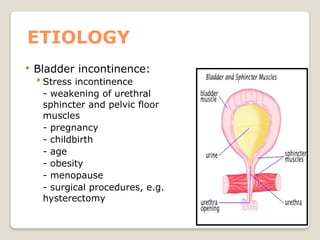 (bowel and bladder incontinence)B&D.pptx