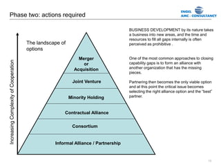 Business Development Framework | PDF