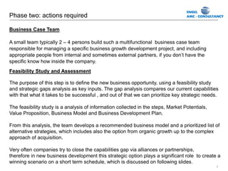 Business Development Framework | PDF