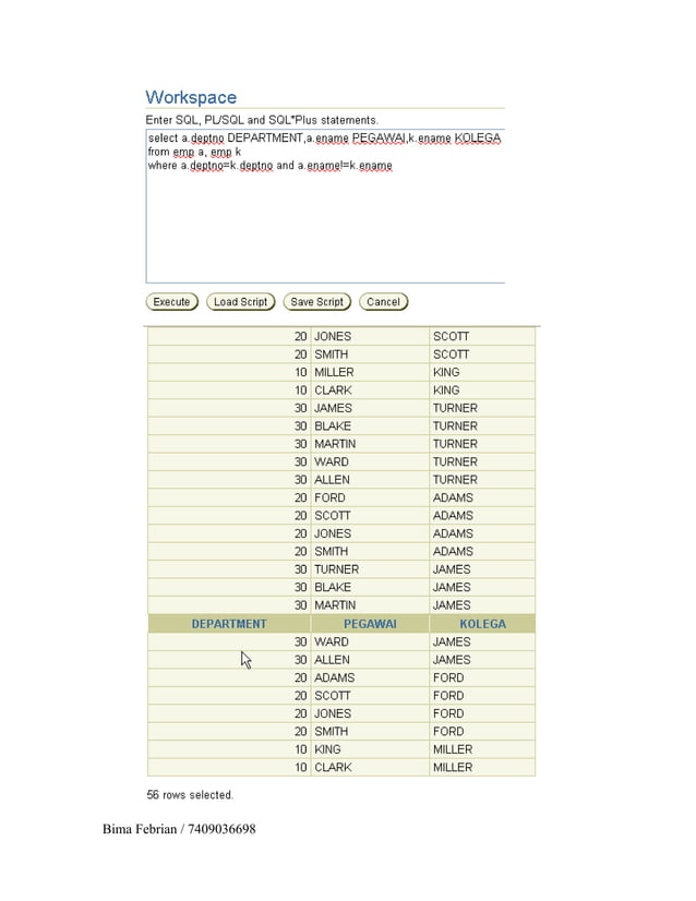 Laporan Praktikum Basis Data | PDF