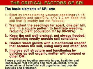 1509 - Identification of the Critical Factors of SRI for maximizing ...