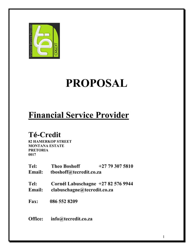 Te Credit Proposal | PDF