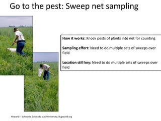 Scouting_activity | PDF