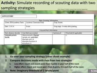 Scouting_activity | PDF