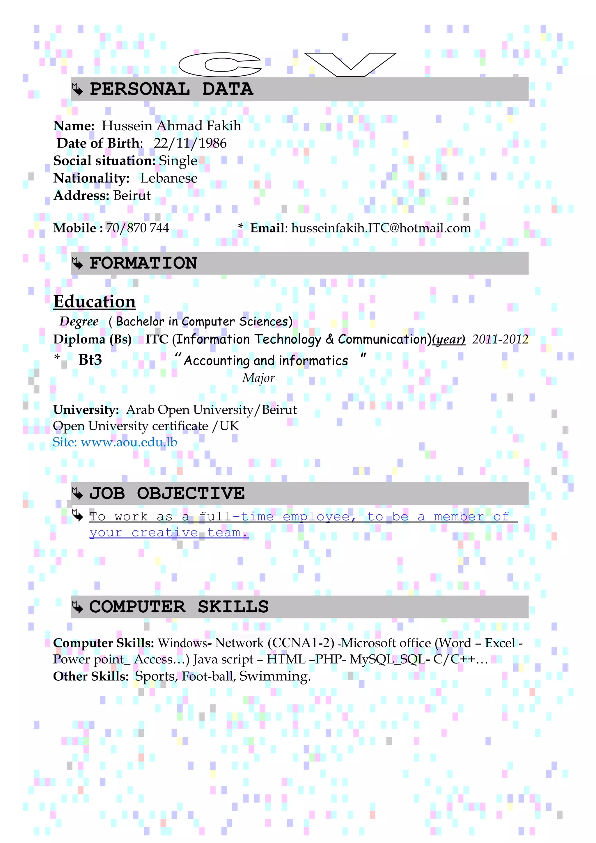 CV(hussein Fakih) | DOC