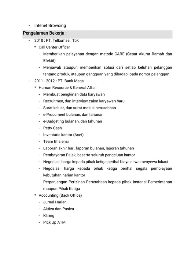 Curriculum Vitae Jemerson Sinaga | PDF