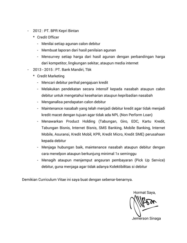 Curriculum Vitae Jemerson Sinaga | PDF