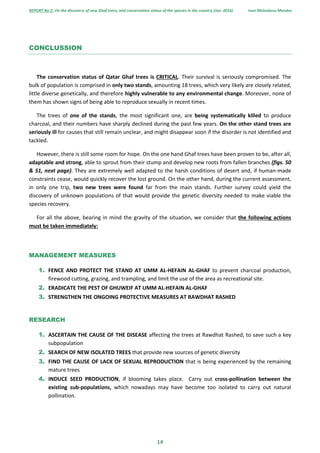 Report No 2. New ghaf specimens found in Northern Qatar and overview of ...