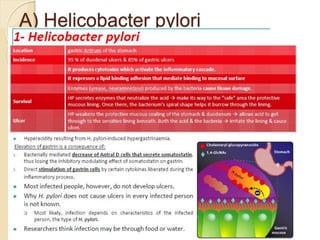 PEPTIC ULCER | PPTX | Digestive Disorders | Diseases and Conditions
