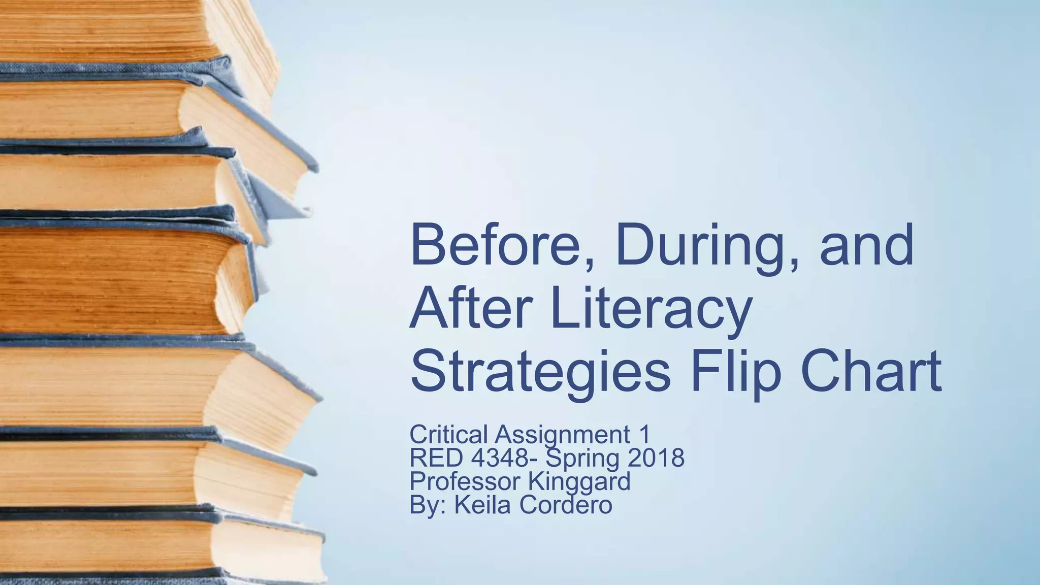 BDA Literacy Strategies Flip Chart | PPTX