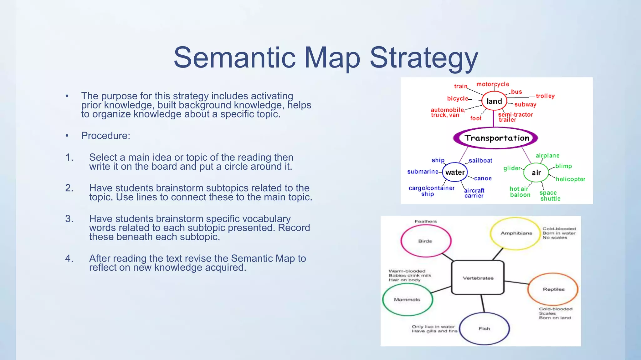 BDA Literacy Strategies Flip Chart | PPTX