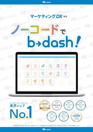 b→dash Pamphlet.pdf