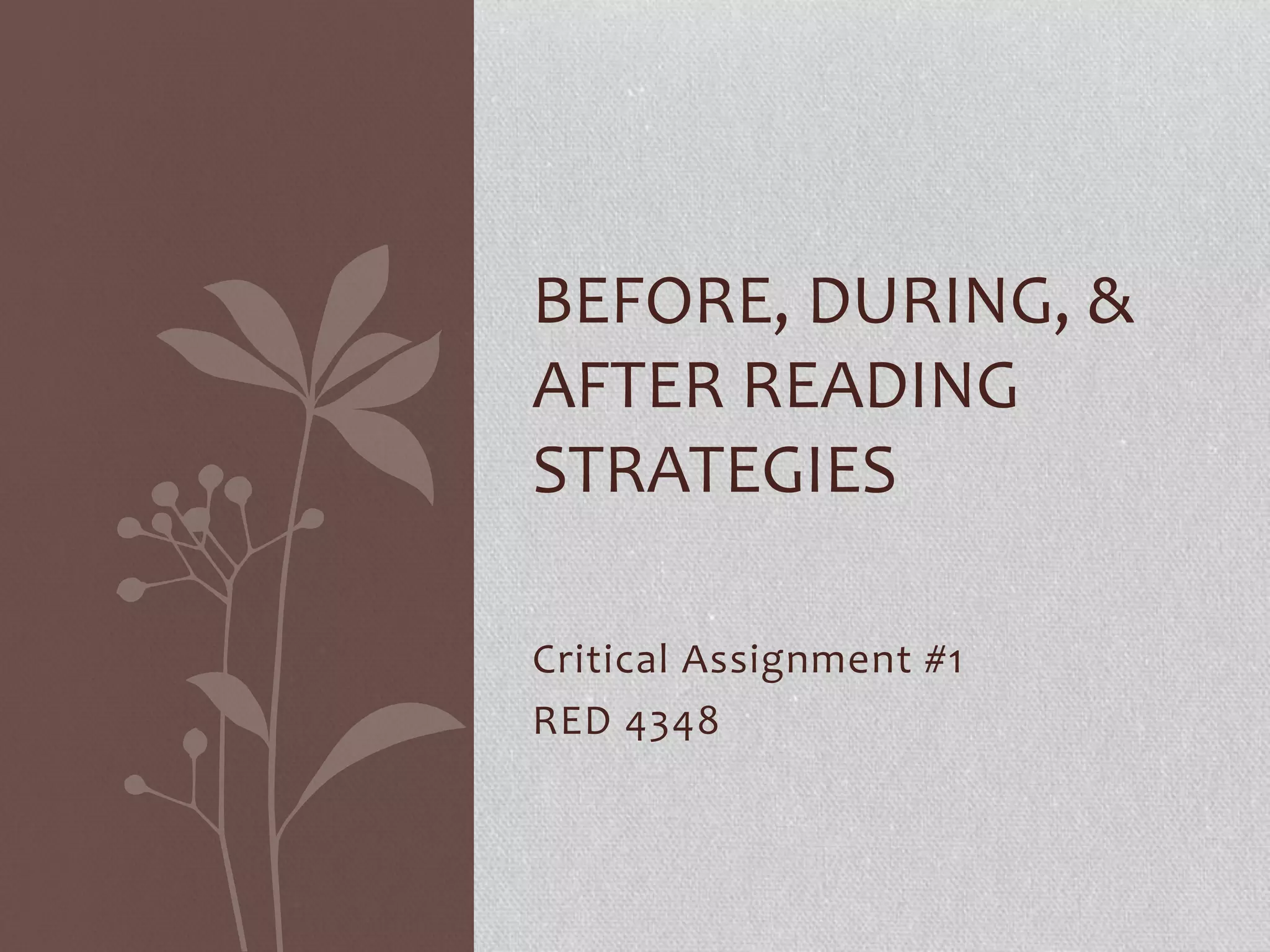 Before, During, and After reading strategies | PPTX