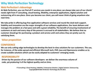 Web Perfection Portfolio | PPT