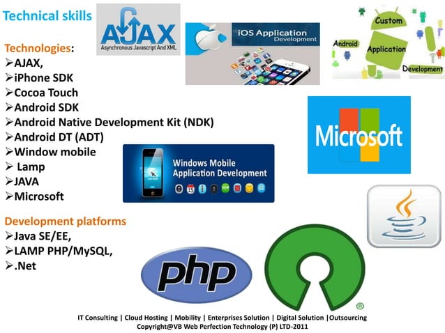 Web Perfection Portfolio | PPT | Free Download