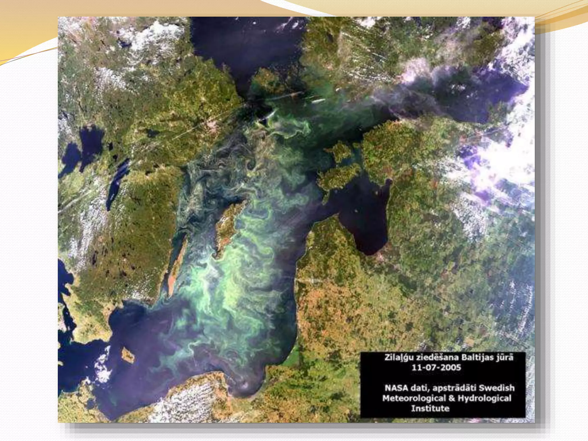 Eutrophication | PPTX
