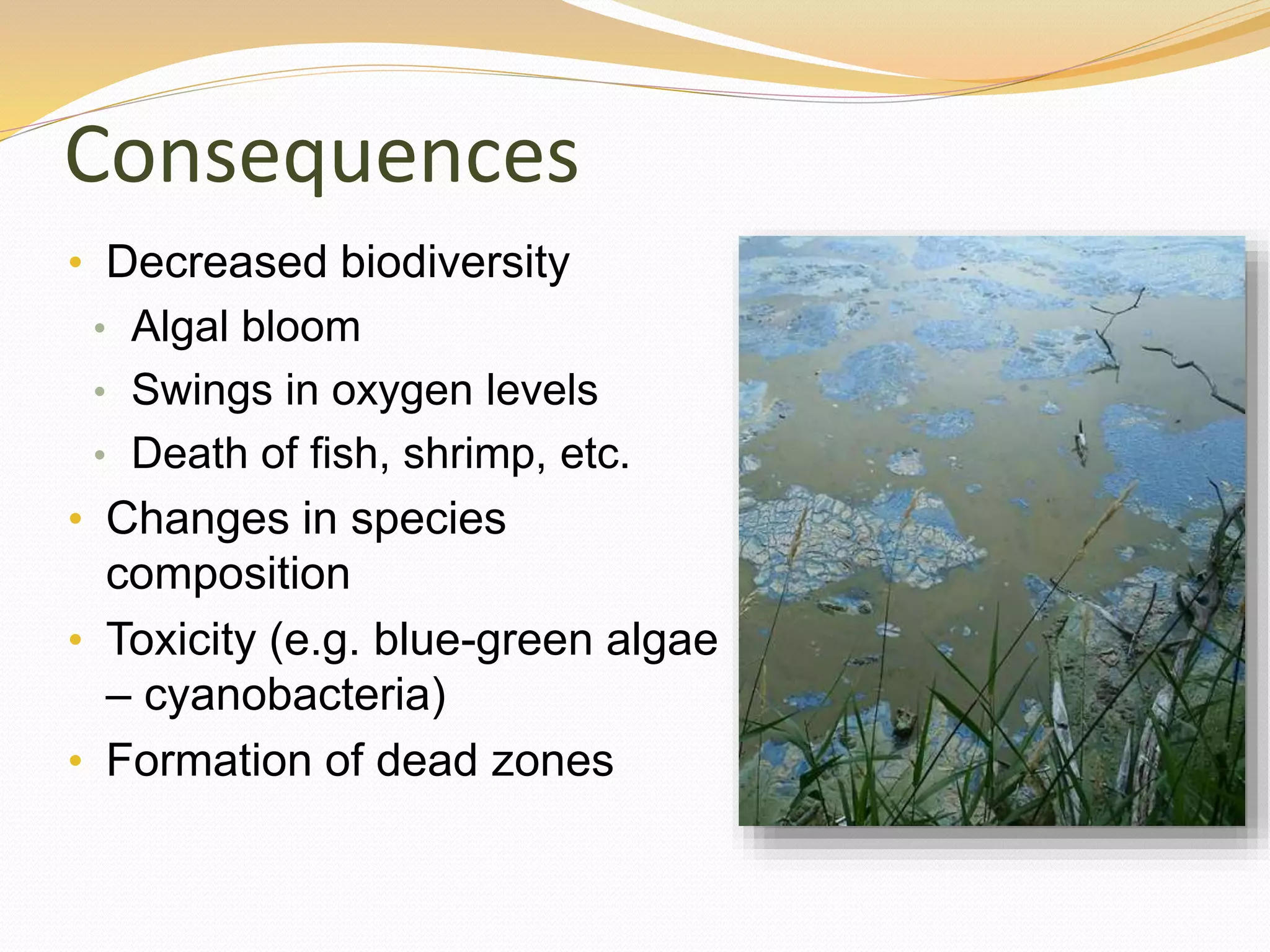 Eutrophication | PPTX