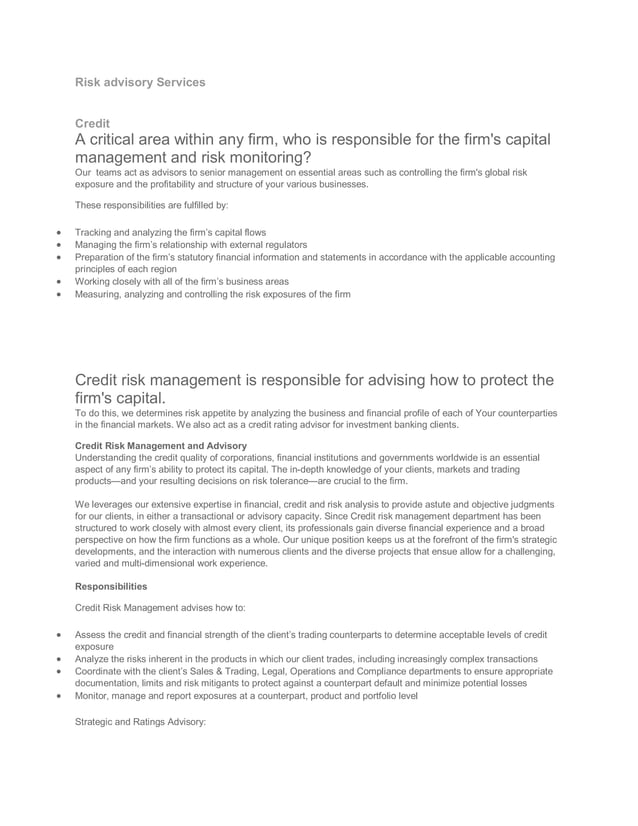 Risk Management Profile | PDF