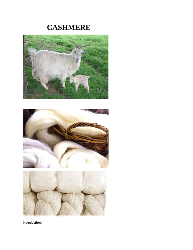 CASHMERE WOOL | PDF