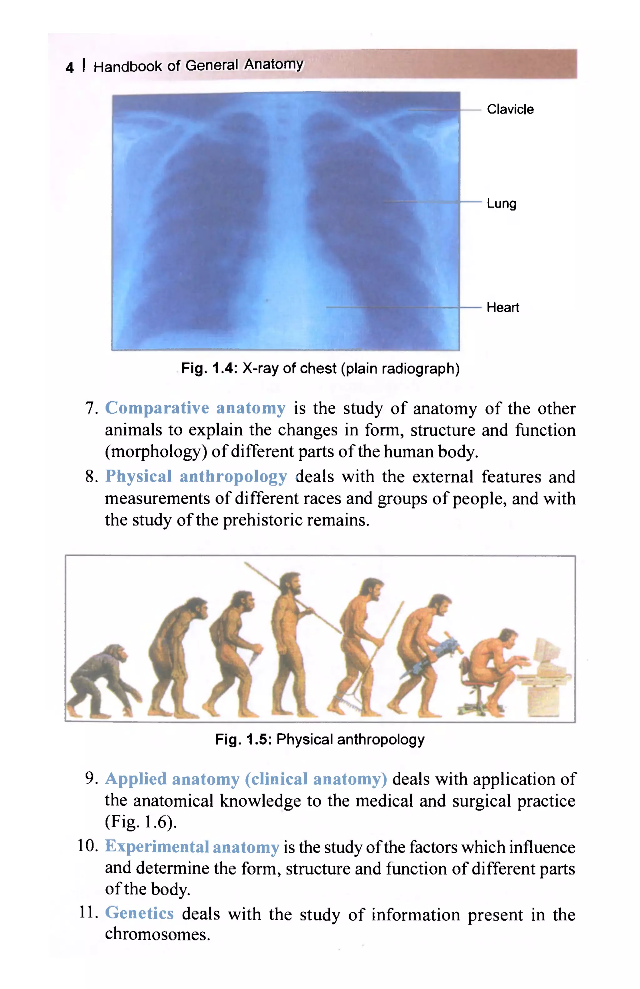 B d chaurasia's handbook of general anatomy (4th ed) | PDF